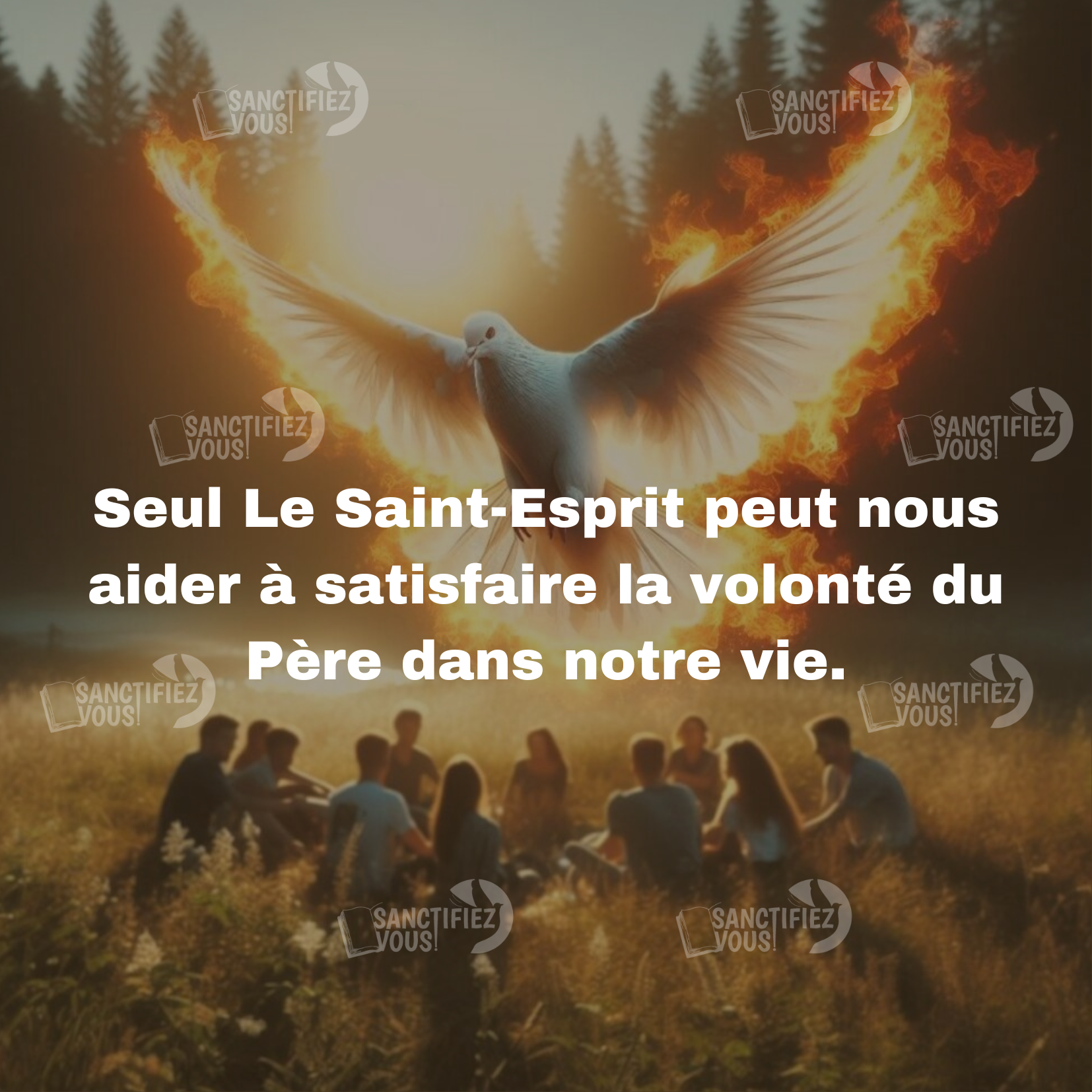 Le Saint Esprit nous aide à nous sanctifier. – Sanctifiez-vous